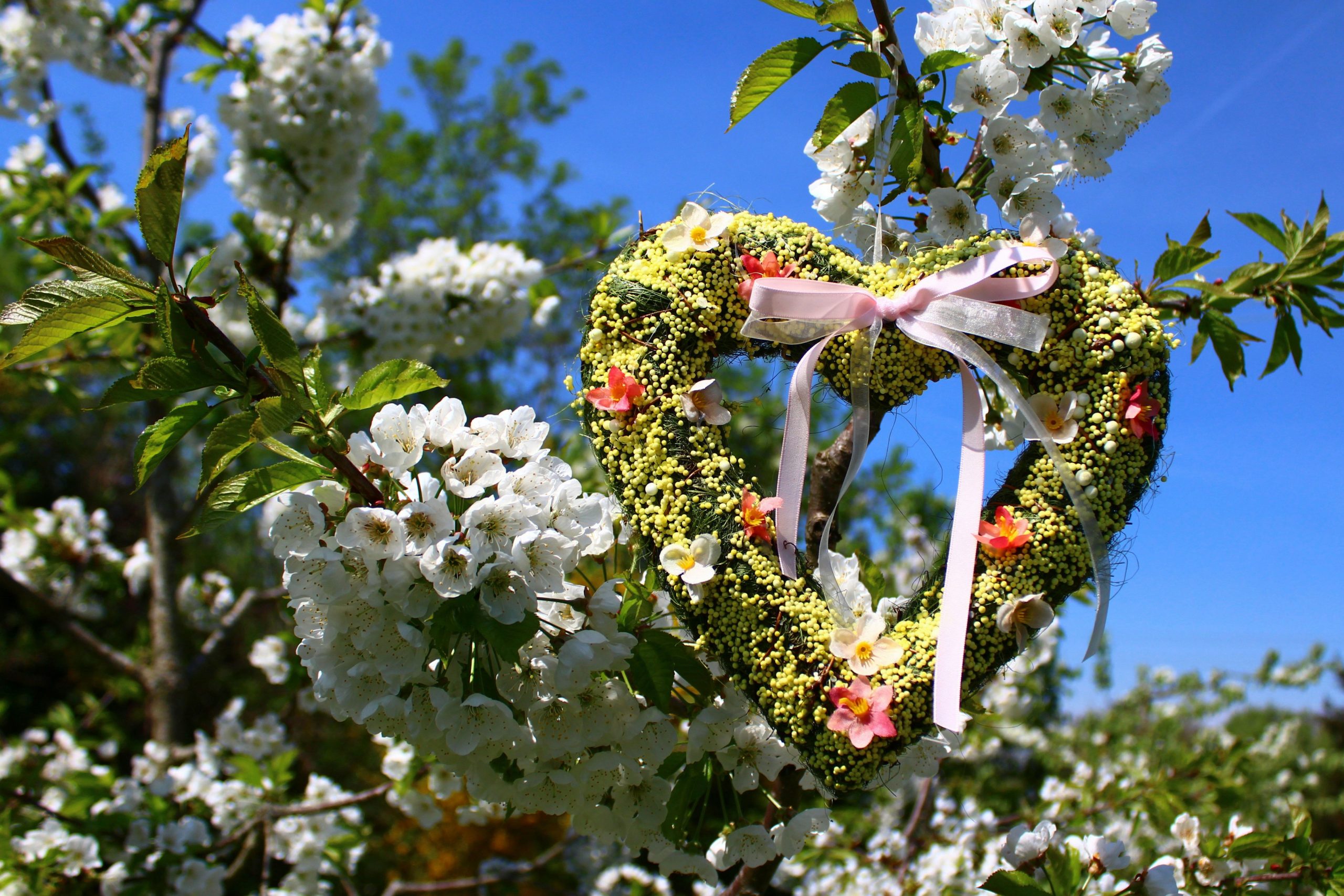 Der Frühling ist da und wir begrüßen den Mai! - Jungborn Blog …hat ...